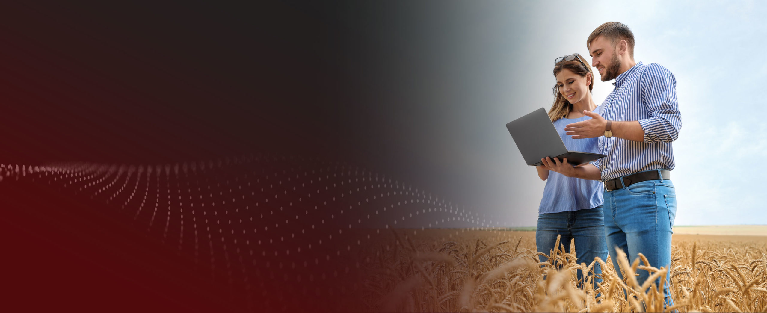 PomeGran – Leading Rural Fibre-Centric Broadband Provider